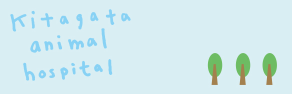 北方動物病院-KITAGATA Animal Hospital-